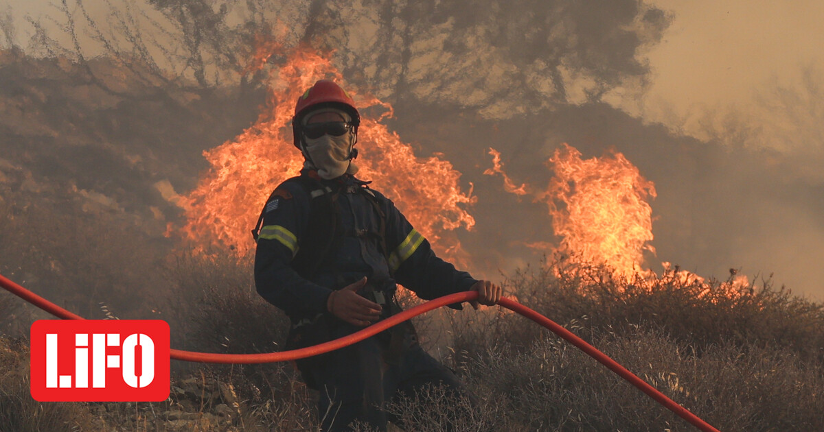 Φωτιά σε δασική έκταση στον Άγιο Στέφανο Λακωνίας - Προειδοποιητικό μήνυμα του 112 | LiFO